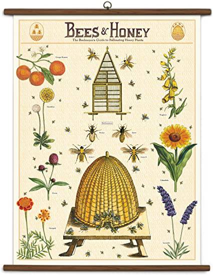 BEES & HONEY SCHOOL CHART